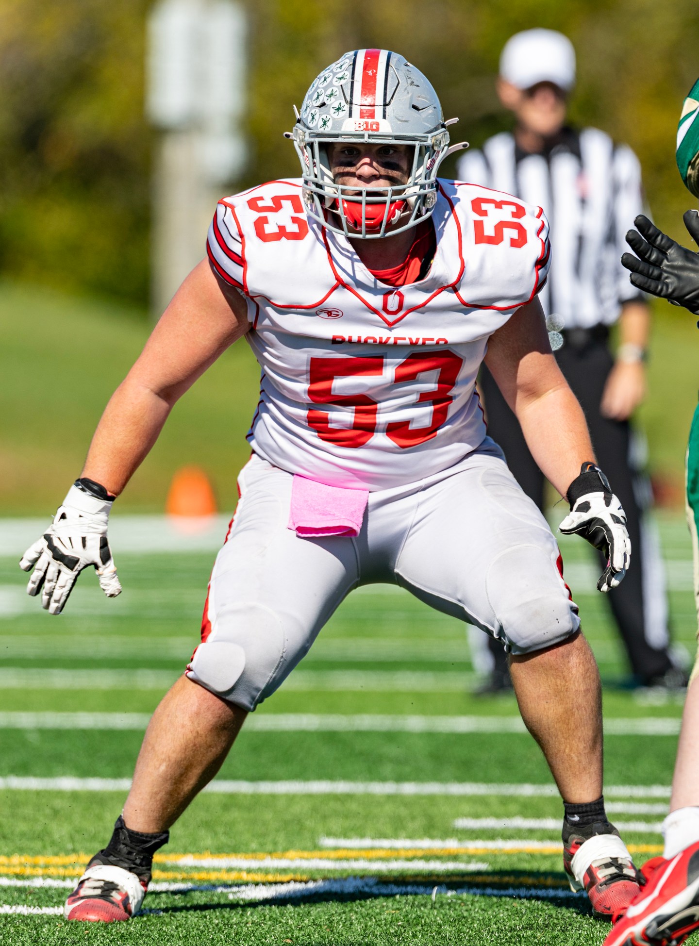 Ohio State sets NCFA record for postseason awards, All-Americans ...